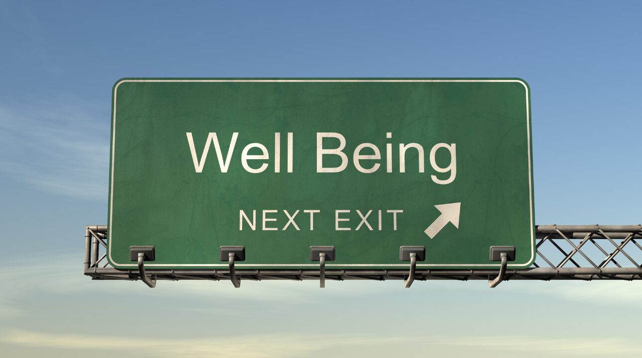 Wellness Vs Wellbeing: Tips to Achieve Just That! - Dorice Horenstein